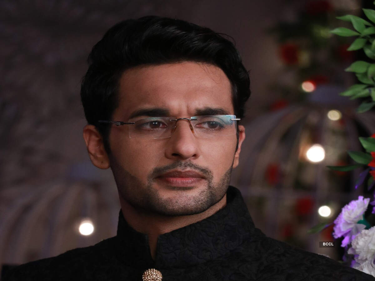 Aakash Talwar enjoys fantasy element and drama in 'Naagin 5' - Times of ...