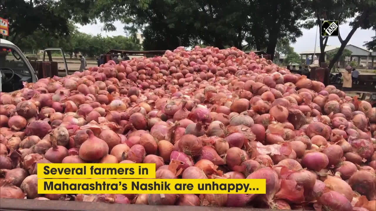 ‘Let us earn some money’, say Nashik farmers on onion price hike