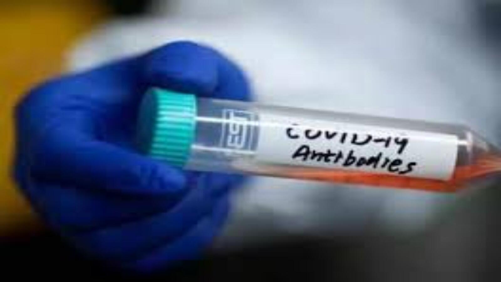 Covid-19: Antibody therapy may reduce hospitalisations, says new study