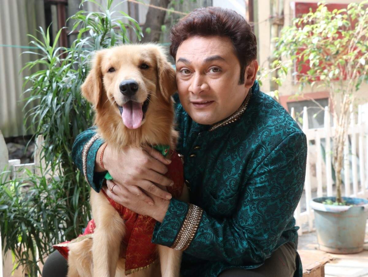 tinaa duttaa: TV pet parents gear up to celebrate Diwali with their ...