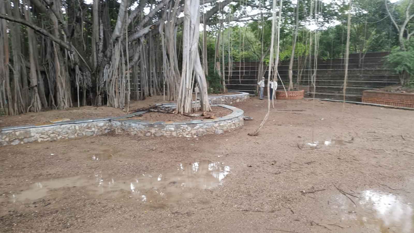 Pune: Final touches being given to amphitheatre at BORI campus