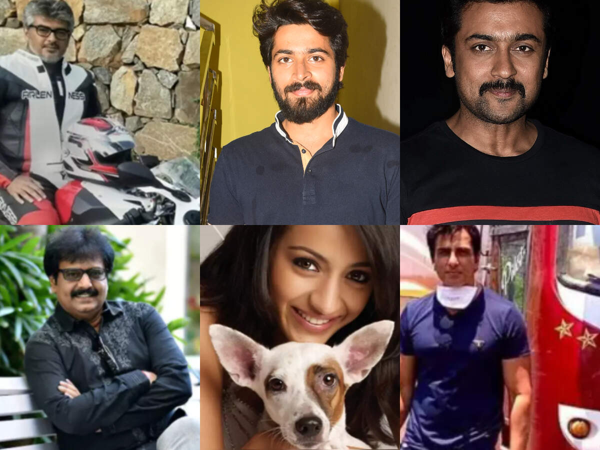 From Ajith to Harish Kalyan: Kollywood celebs who support social causes
