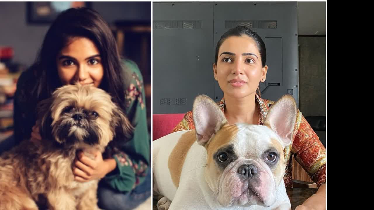 Kalyani Priyadarshan envies Samantha's pet dog