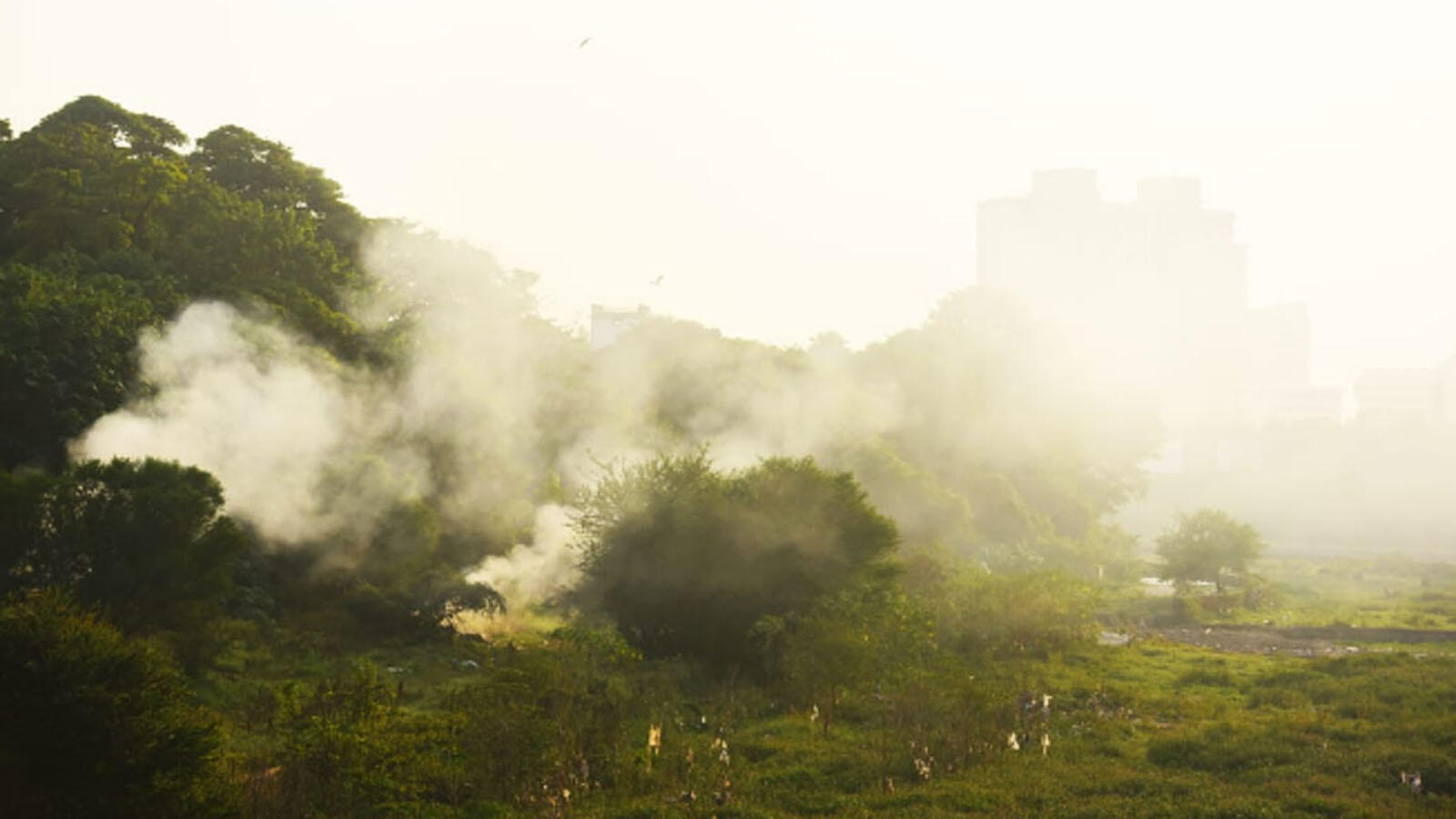 Pune: Burning of garbage in Mutha river bed causes air pollution