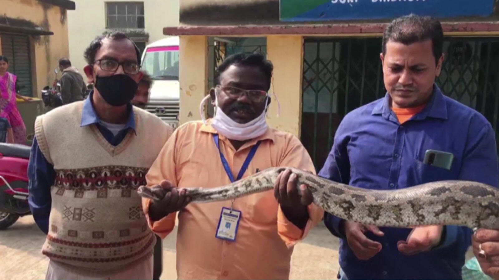 8-foot-long python rescued in WB’s Birbhum