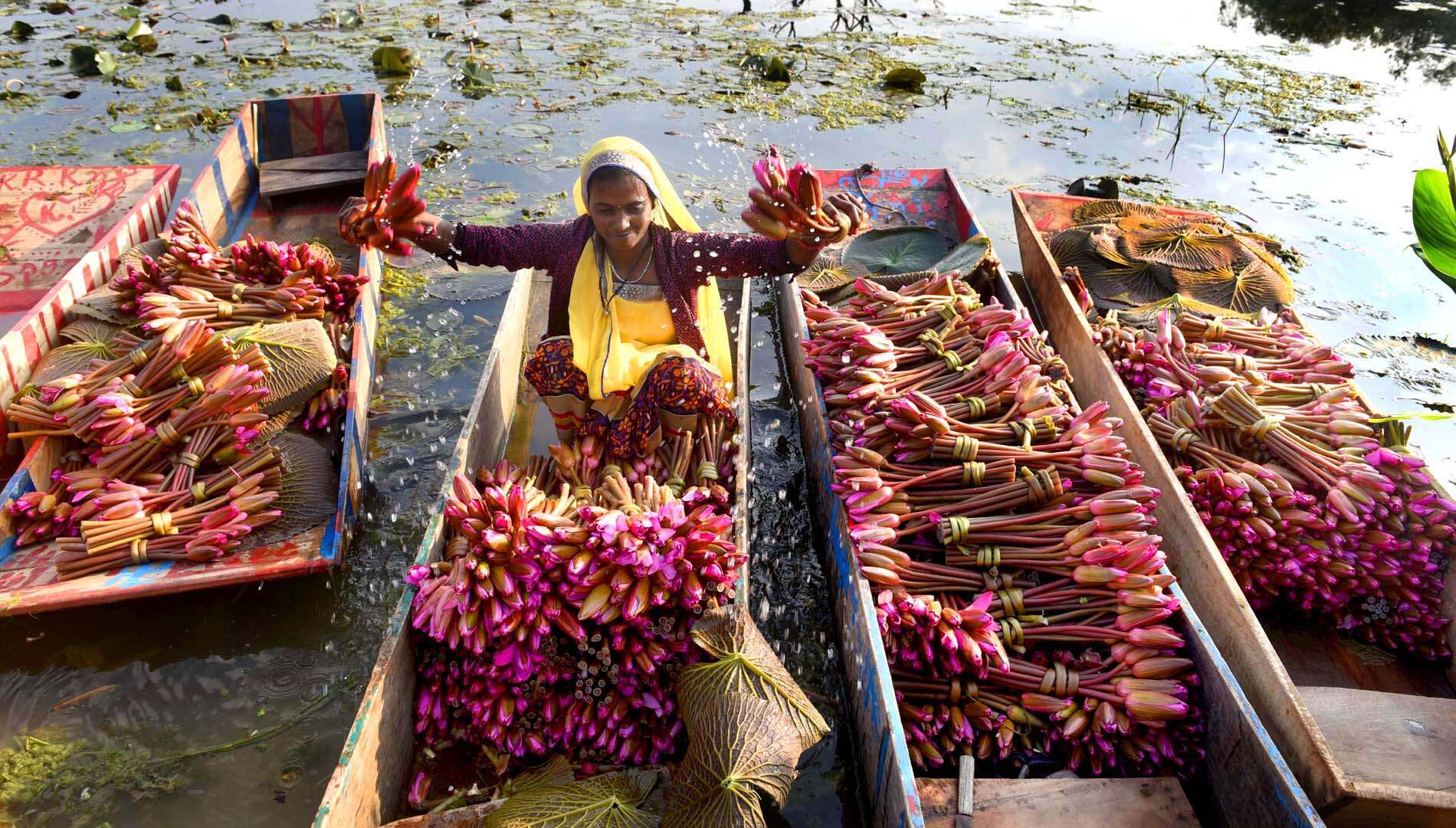 The many moods of Indore: From TOI photographer