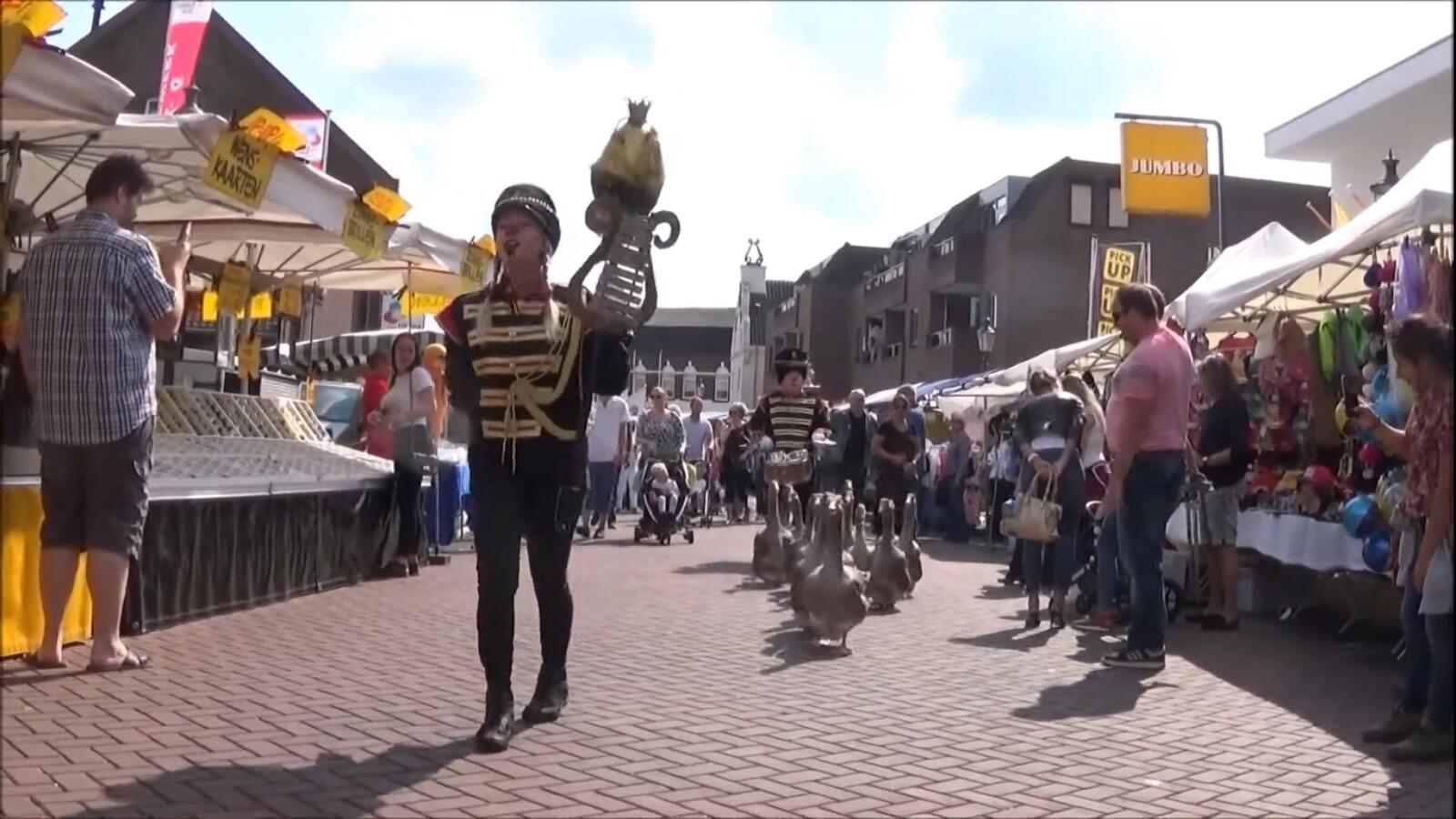 Goose Parade: This Belgian festival sees unique march of birds