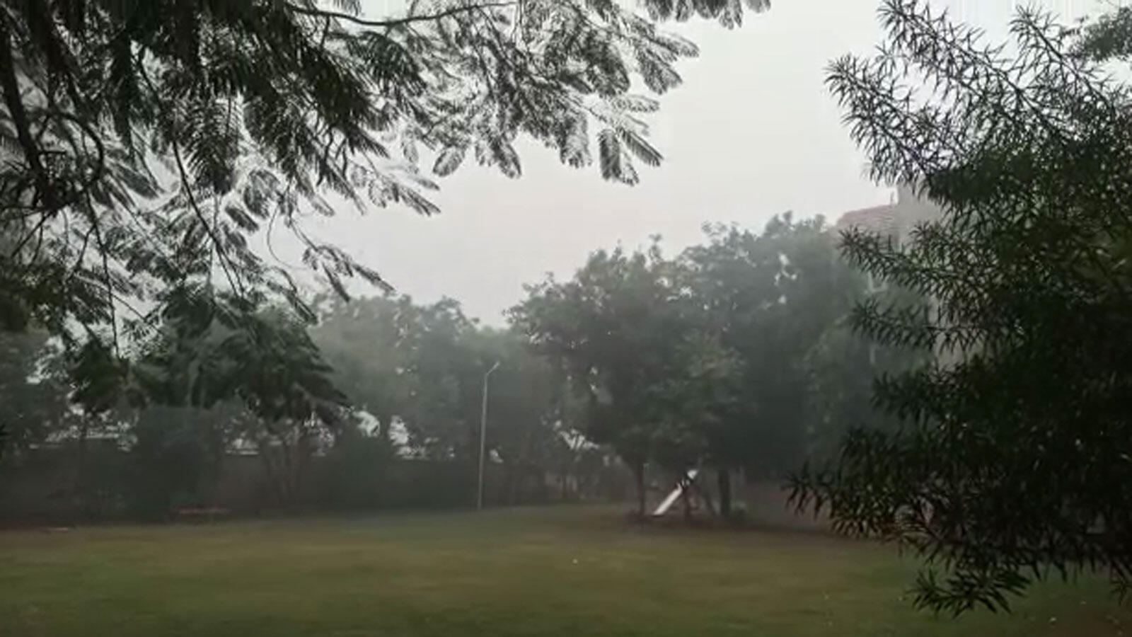 Delhi, Noida witness light rain, dense fog reduces visibility