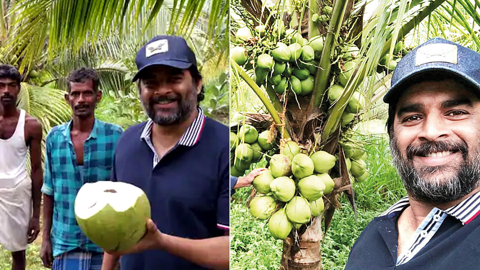 R Madhavan makes the best of his love for nature, transforms barren ...