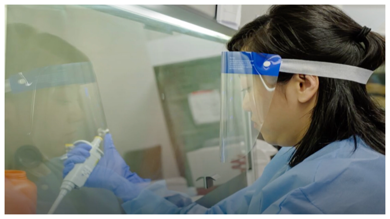 Neuroscientists isolate mini antibodies against COVID-19 from a llama