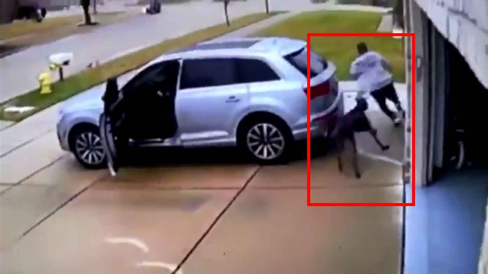 Viral video: Dog chases man assuming him to be a thief