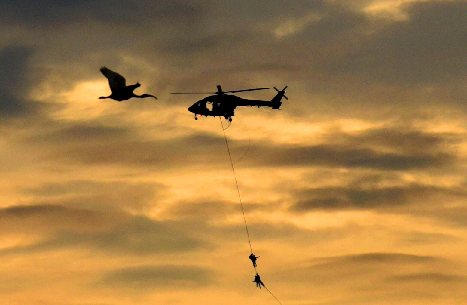 The best of TOI photos from Kerala