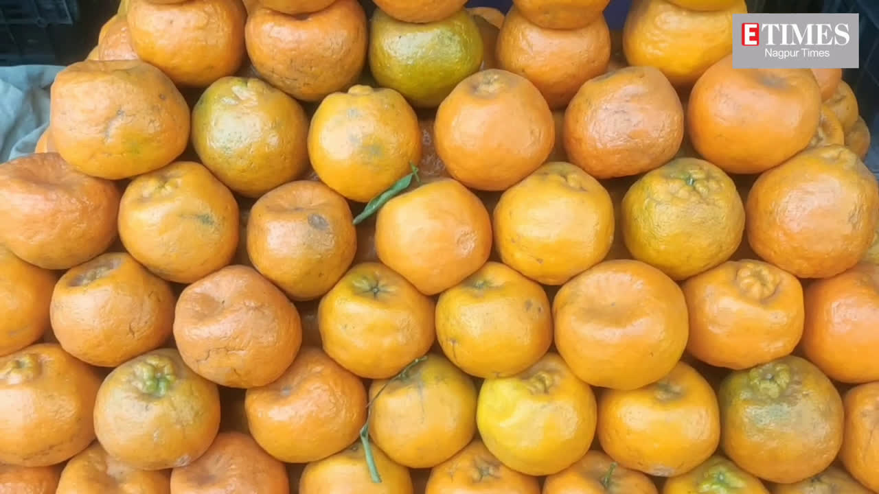 Santra Market: Let’s take a tour of Nagpur’s orange market