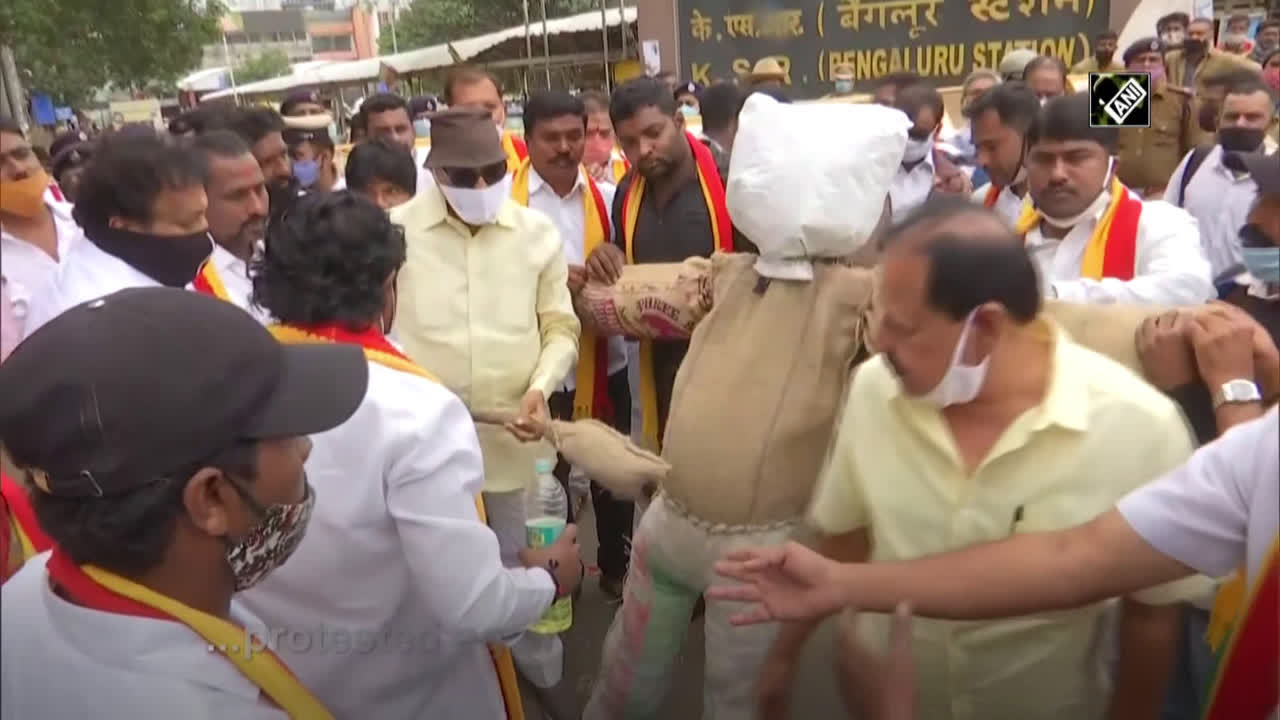 Vatal Nagaraj, pro-Kannada activists hold protest over set up of ...