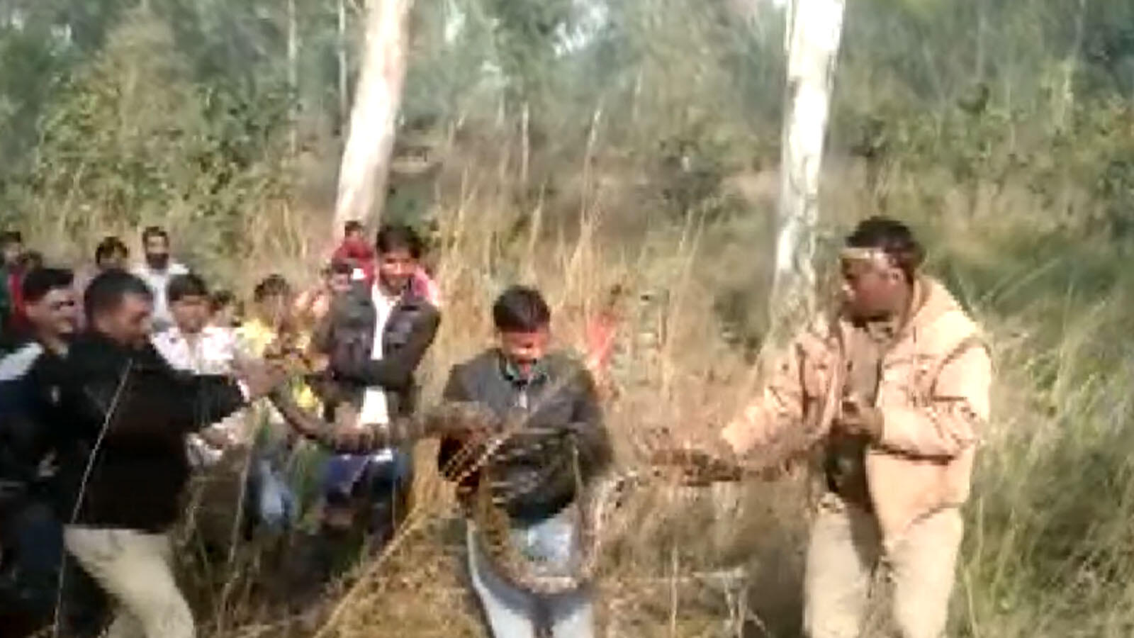 11-ft long python rescued by forest dept in UP’s Aligarh