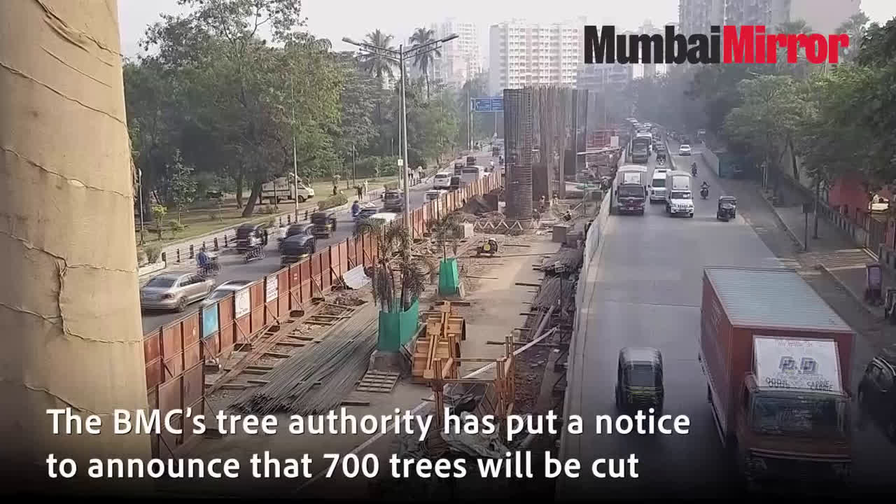Mumbaikars react: JVLR Road widening to claim more trees