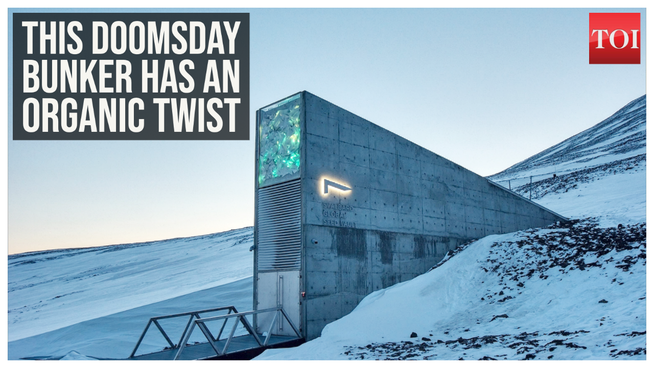 Doomsday bunker: How the world can grow again after an apocalypse