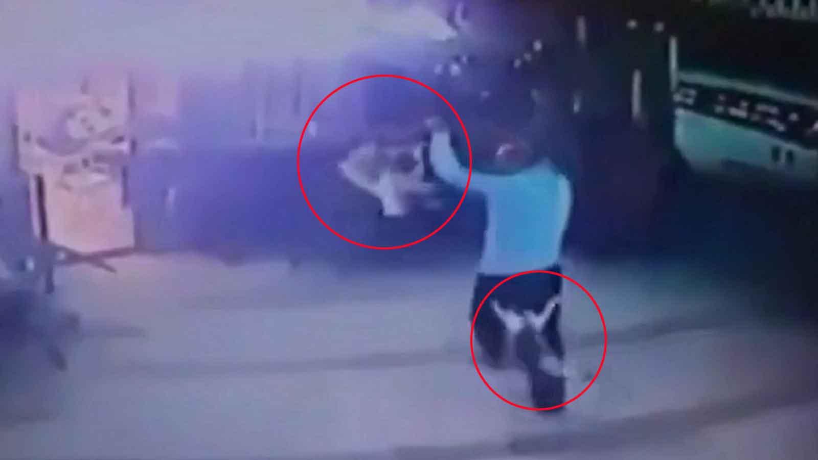 On cam: Cat furiously attacks dog and its owner