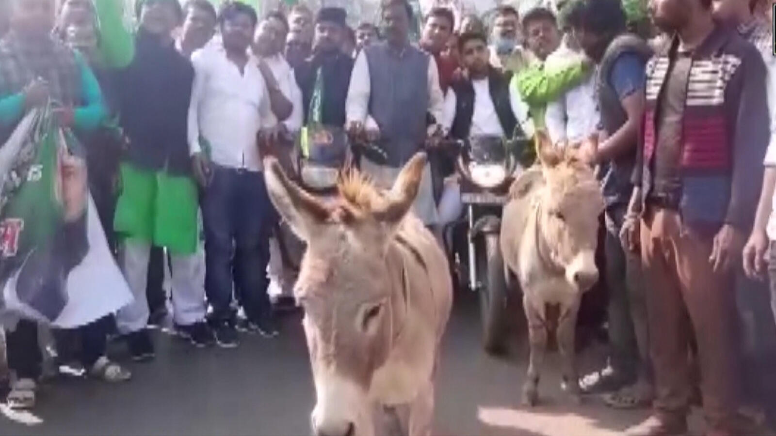 Fuel price hike: RJD workers protest by making donkeys pull bikes