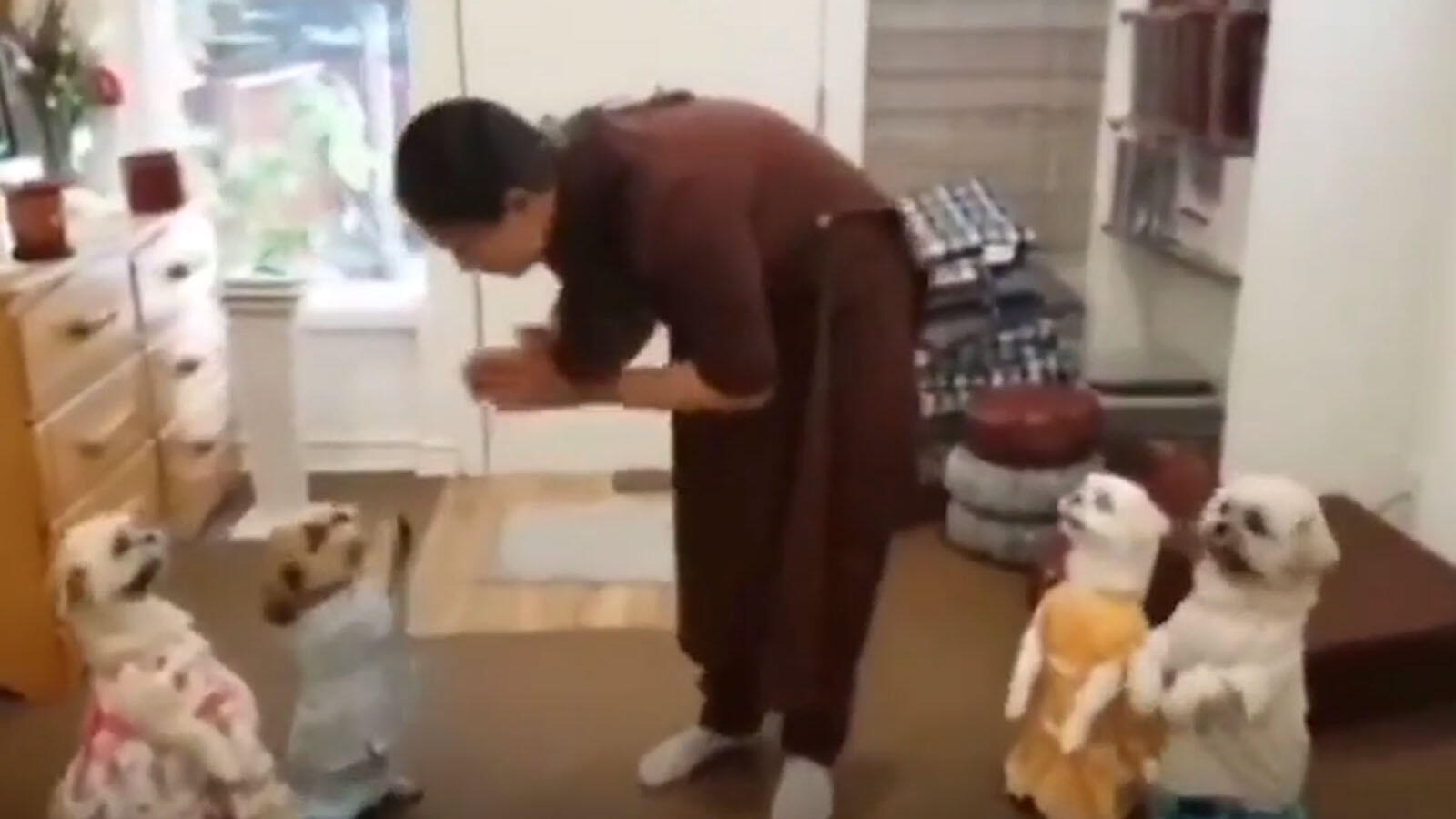 Watch: Cute puppies join prayer, follow master's steps