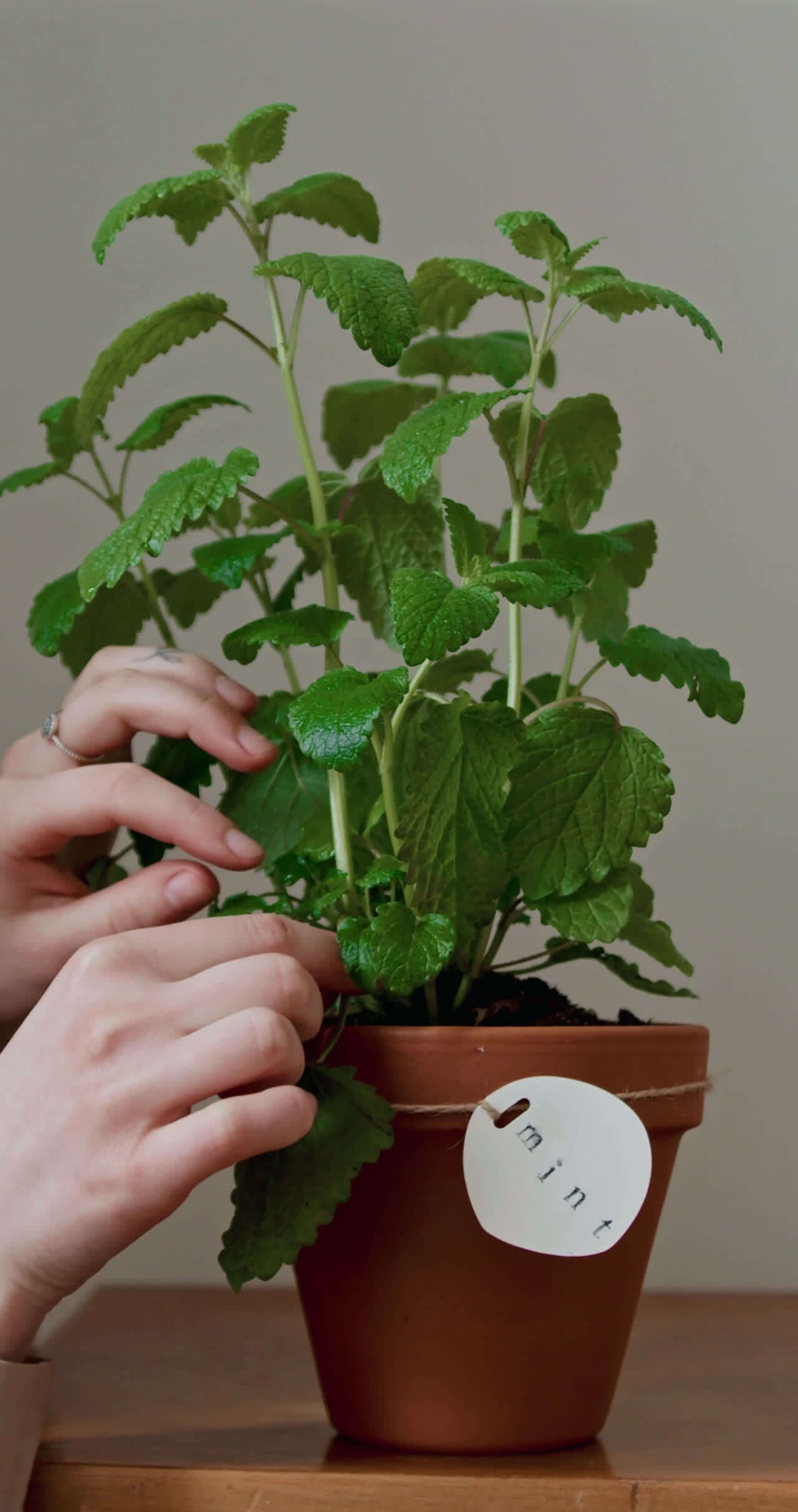 Relief from Mouth Ulcers - Times Food