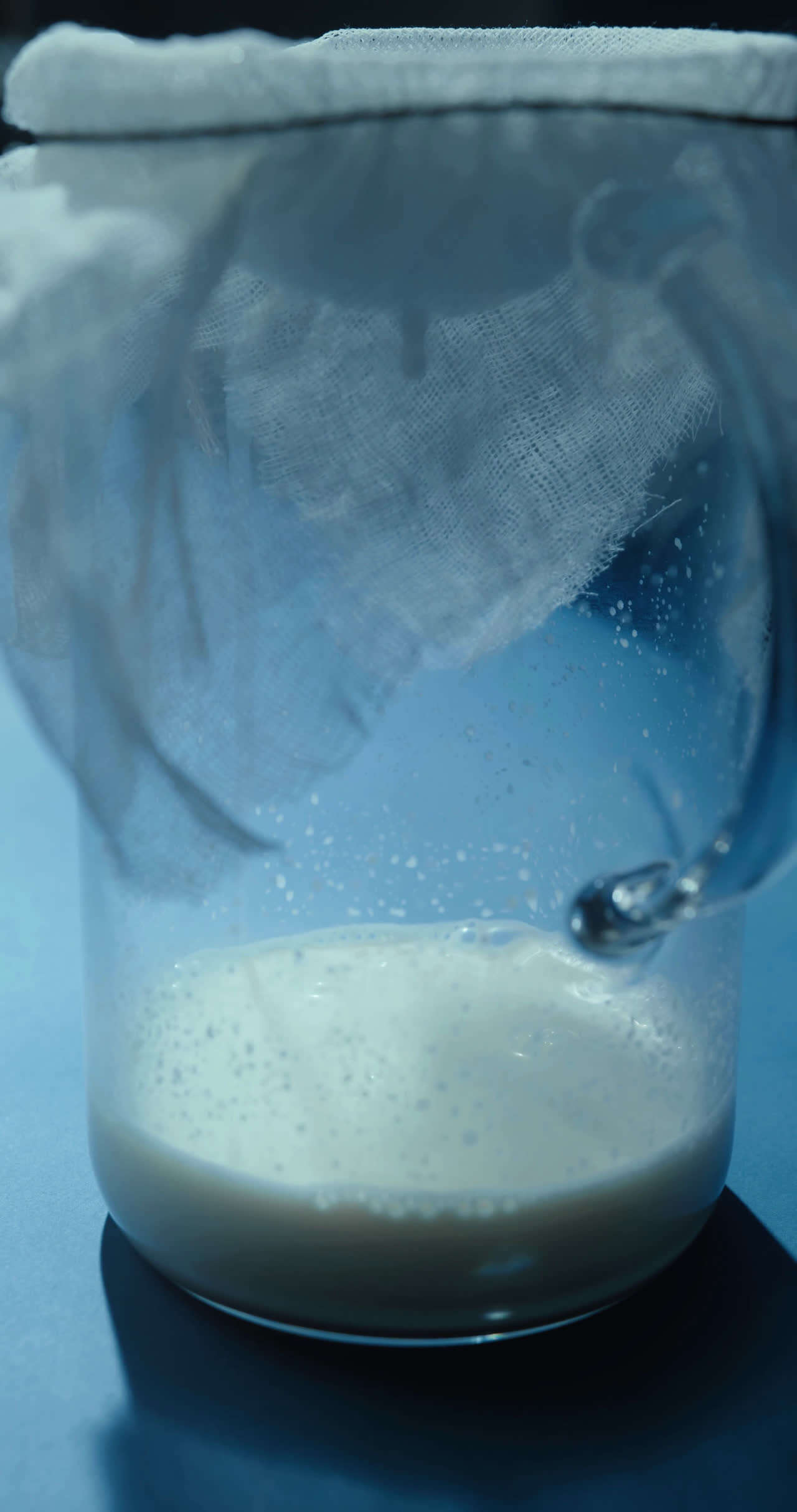 Importance for milk on Shivratri - Times Food