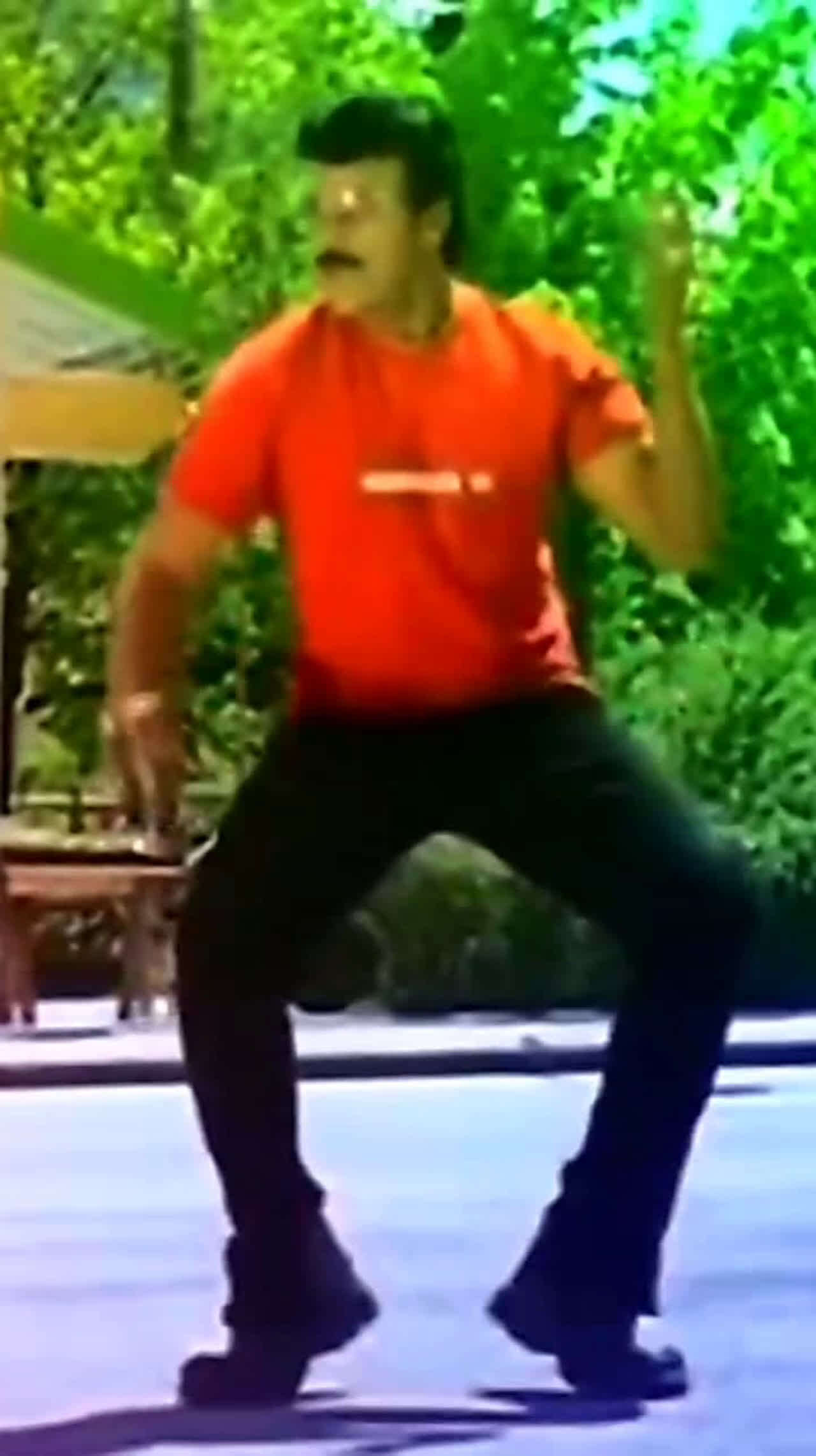 Veena step