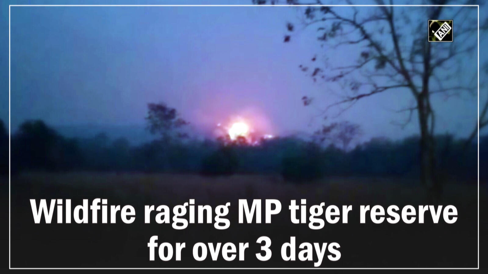 Wildfire raging MP tiger reserve for over 3 days