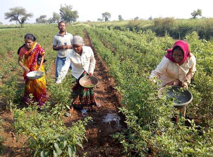 Adline Castelino raises funds to provide agricultural equipment to ...