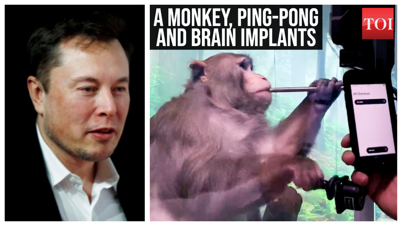 Watch Elon Musk’s Monkey play Ping-Pong using brain implants