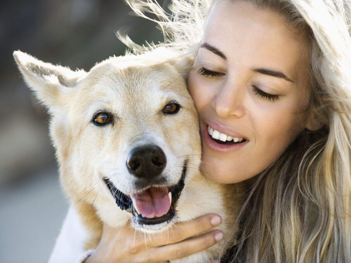 Things your dog really wants you to know