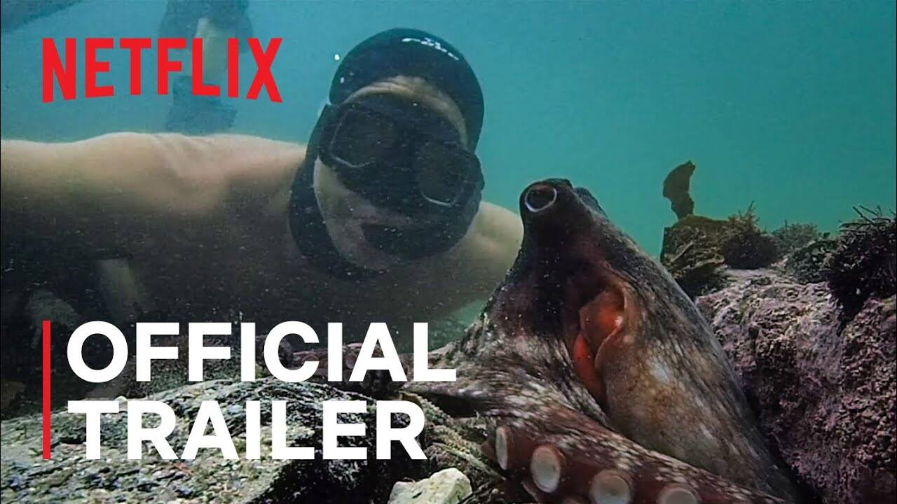 'My Octopus Teacher' Trailer: Craig Foster and Tom Foster starrer 'My ...