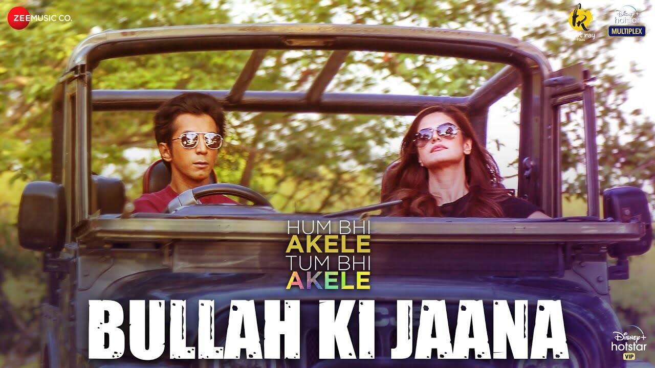 Hum Bhi Akele Tum Bhi Akele | Song - Bullah Ki Jaana