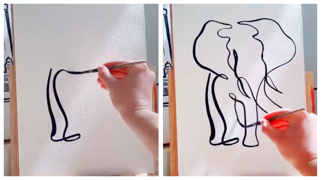 Amazing art: Single stroke painting of an elephant
