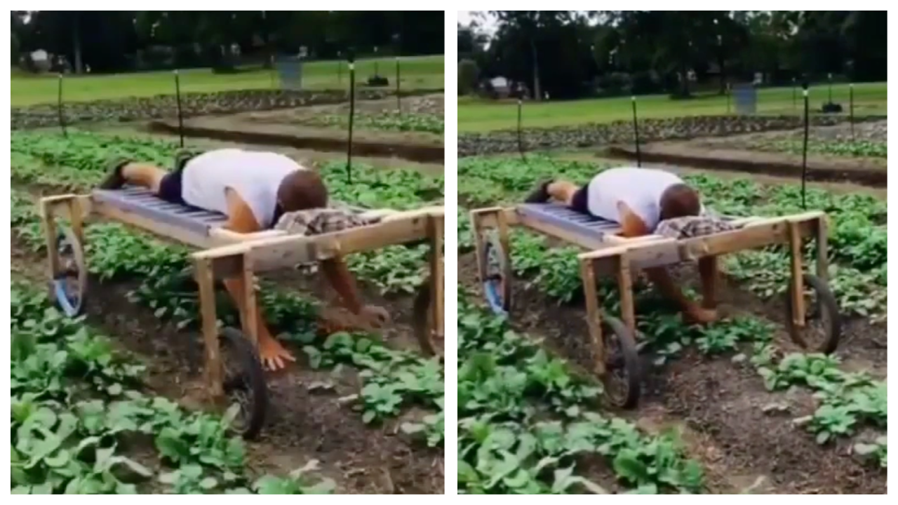 Watch: Innovative farmer's unique way to sort his crops