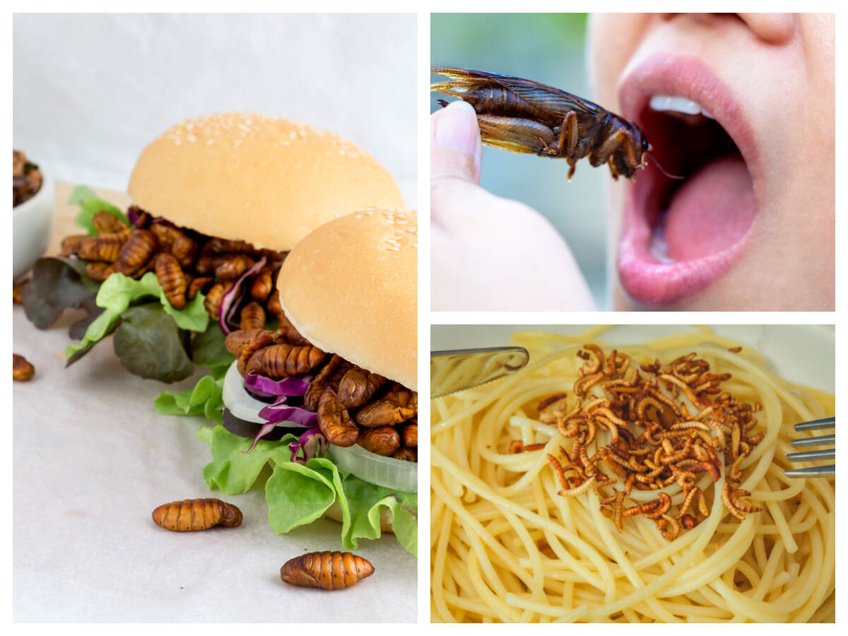 This Paris eatery has a weird insect based menu, are you up for it ...