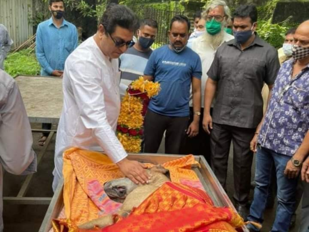 Raj Thackeray dog James passes away; MNS chief bids teary goodbye