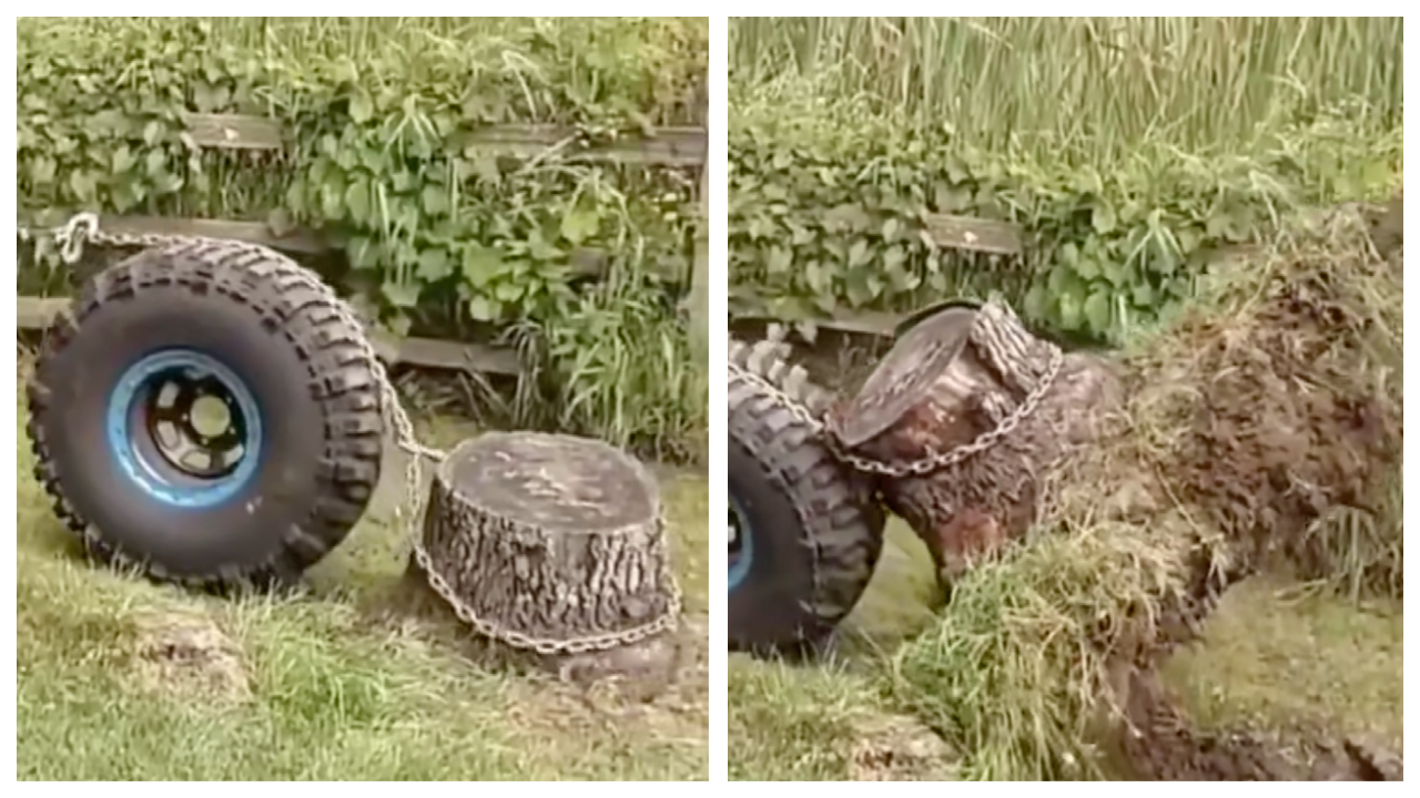 Watch: How to uproot a tree using spare parts