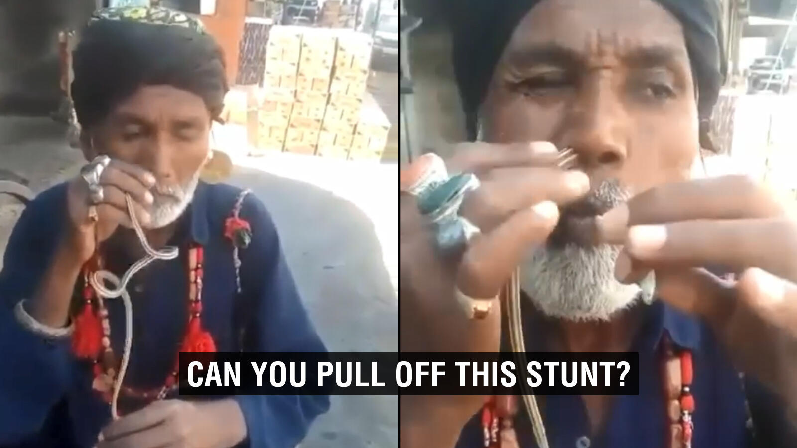 Viral Video: Viral video: Man inserts snake into nose, takes it out of ...