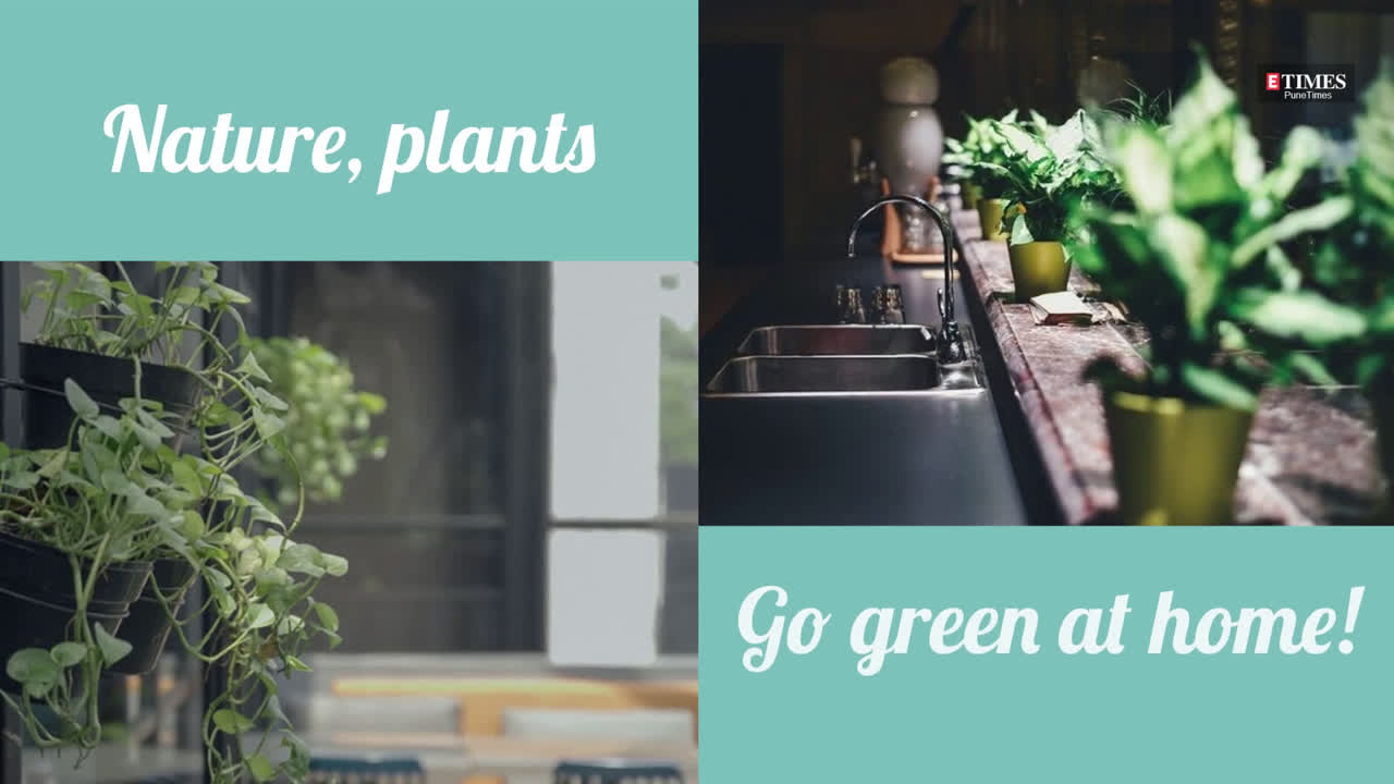 trends: Home decor trends that are really popular right now