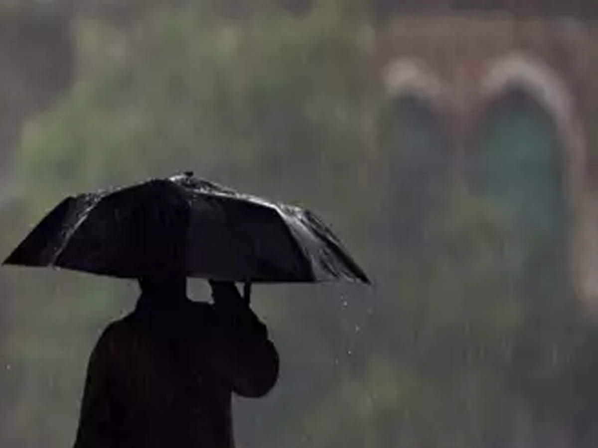 Nashik city receives light showers after a fortnight