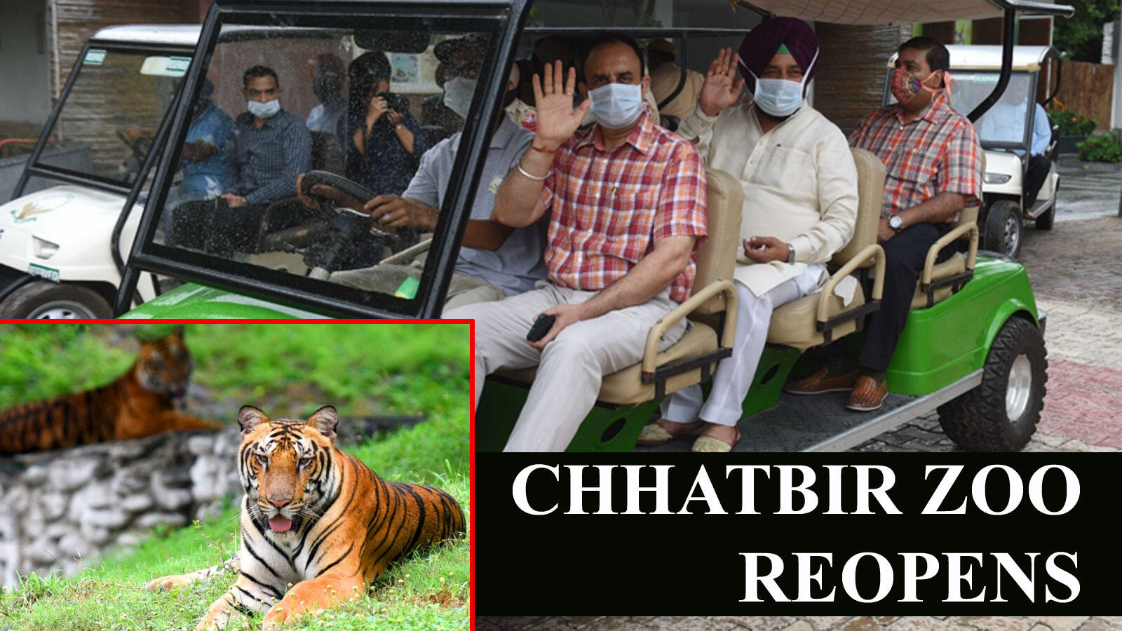 Mohali: Chhatbir Zoo reopens after Covid-19 shutdown