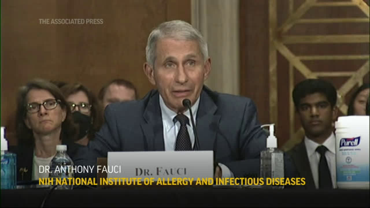 Fauci, Paul clash on virus, trade charges of lying