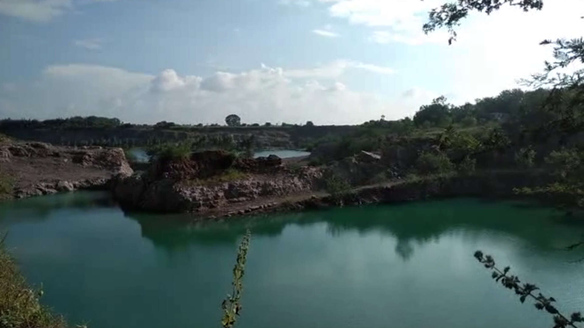 India's biggest man made forest to come up in Nandini's vacant mines