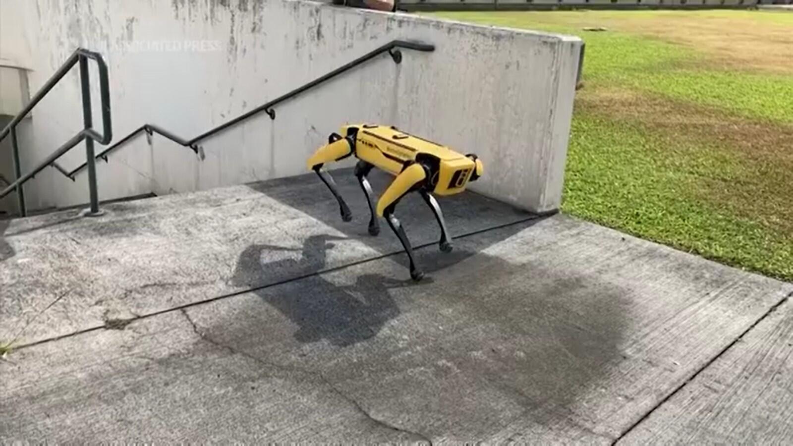 Robotic police dogs: Friend or foe?