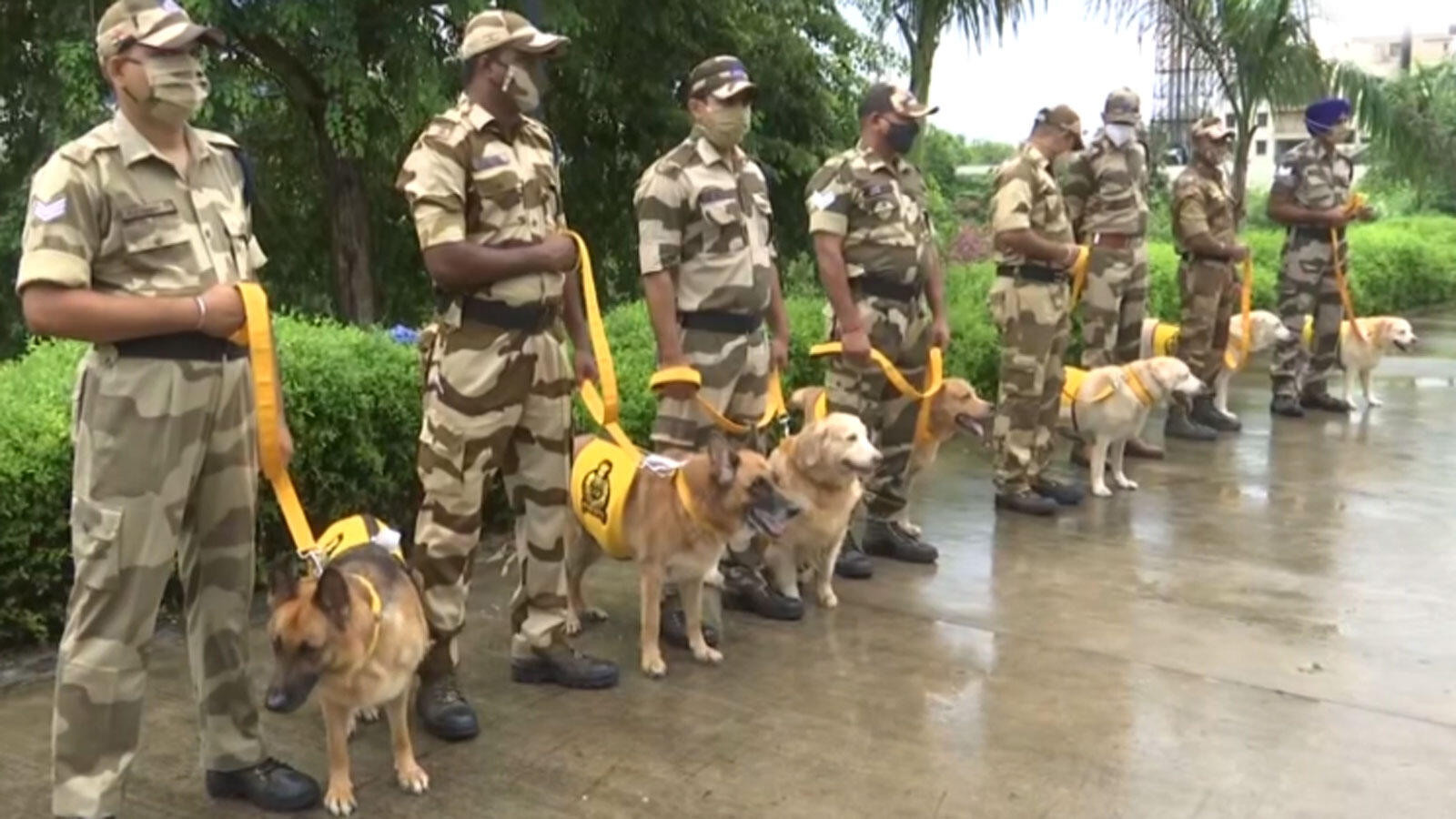 CISF’s 7 sniffer dogs serving at DMRC retire after 10 years of service
