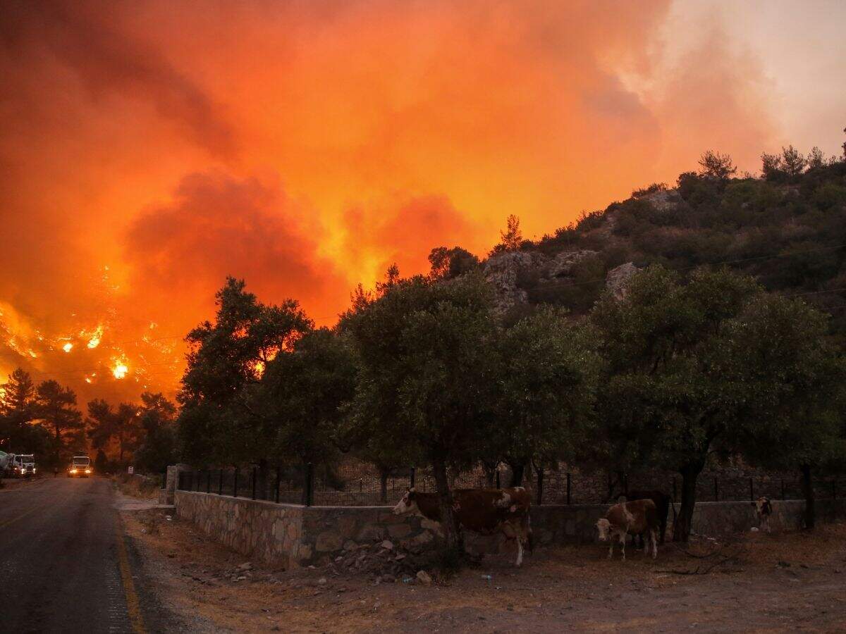 In pics: Turkey's week-long battle with wildfires, 10,000 evacuated