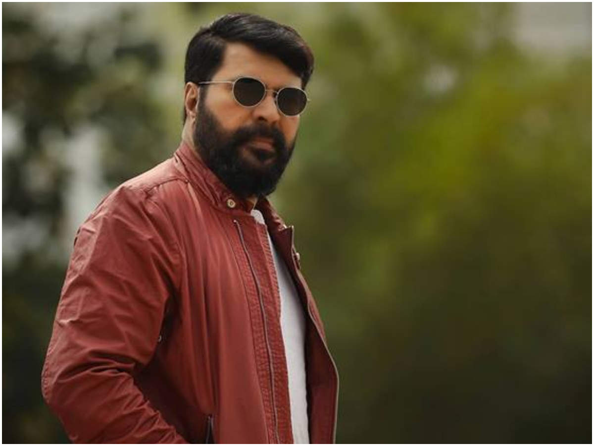 Mammootty treats fans with a magnificent photo as he completes 50 years ...