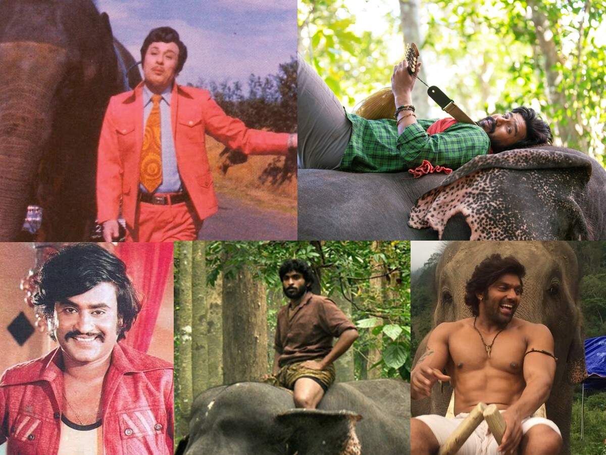 World Elephant Day: Five Tamil movies that explained the goodness of ...
