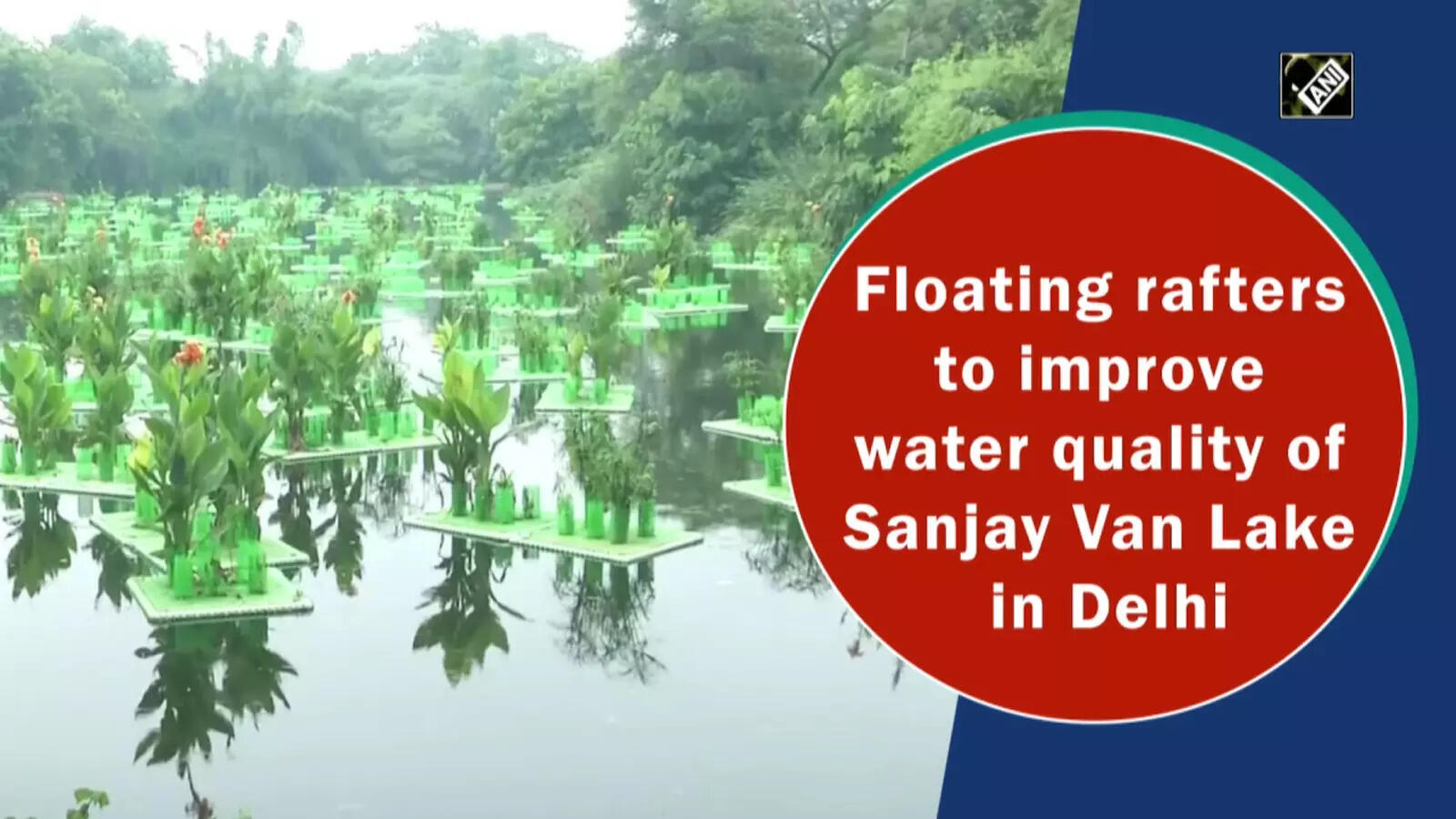 Floating rafters to improve water quality of Sanjay Van Lake in Delhi
